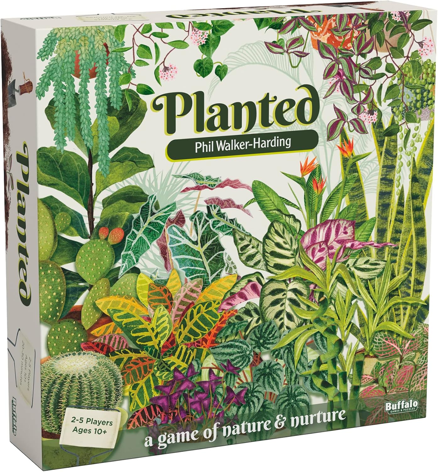 Best Spring Themed Board Games to Play This Spring - The Tabletop Family