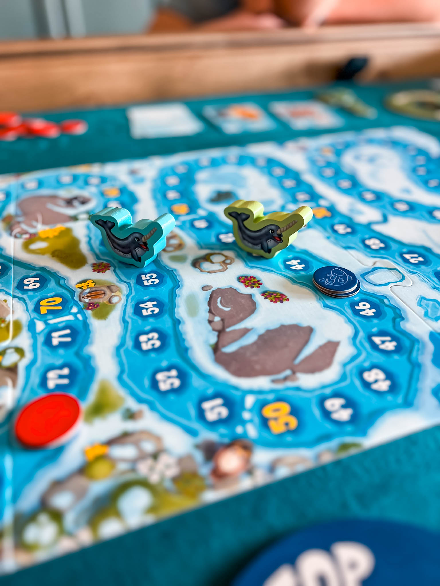 Educational Gaming with Arctic Riders - The Tabletop Family