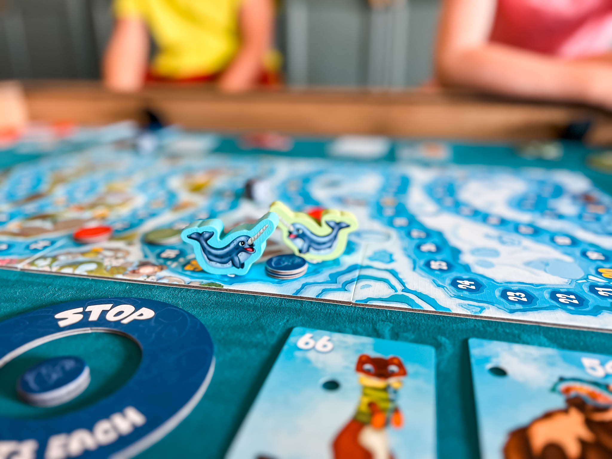 Educational Gaming with Arctic Riders - The Tabletop Family
