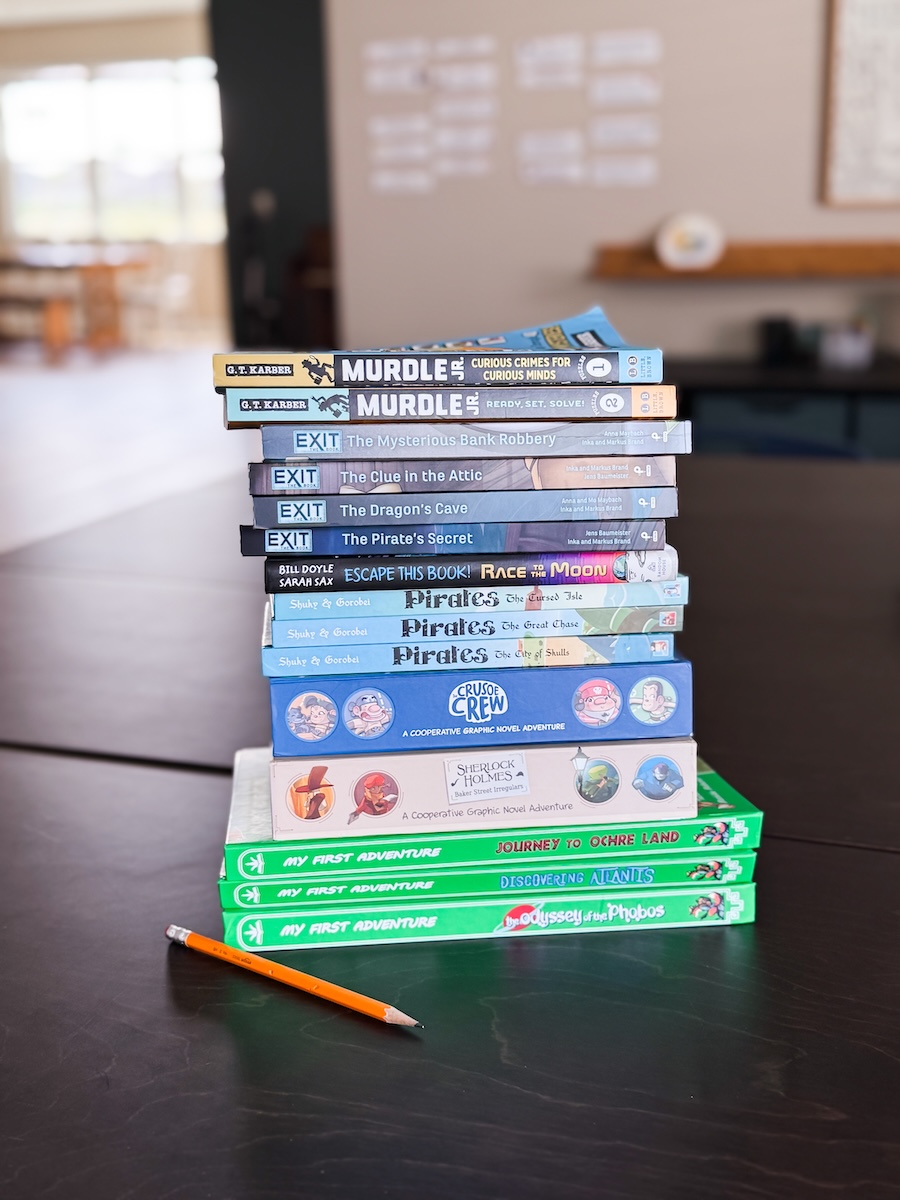 Interactive Puzzle and Activity Books for Kids, Teens, and Families ...